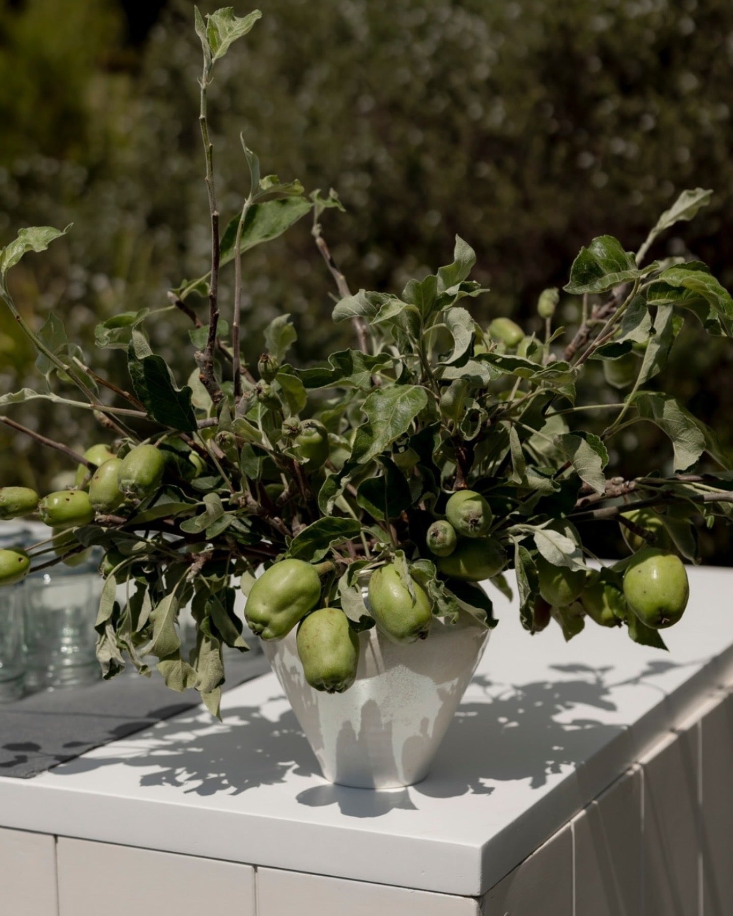 Lines on Linen – Lines on Linen