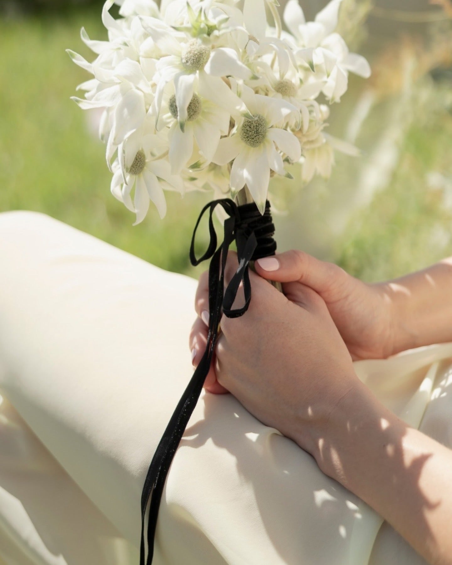 Lines on Linen – Lines on Linen